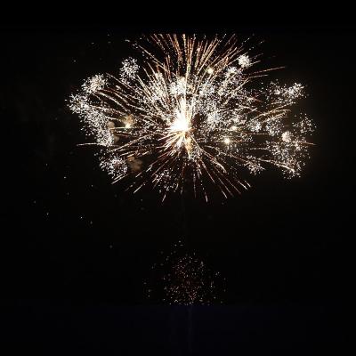 Cina Liuyang 104 Colpi Consumatori Outdoor Ululare lupo fuochi d'artificio Torta in vendita