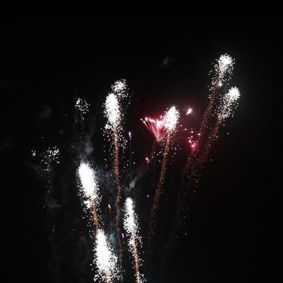 Cina Fuochi d'artificio cinesi 67 colpi Torta di consumo Fuochi d'artificio forniture pirotecniche in vendita