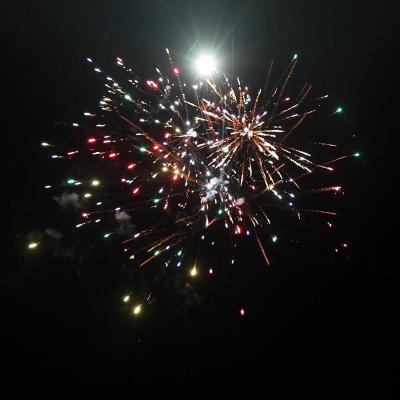 China China Pyrotechnics Outdoor Consumer Cake Fireworks 49 Shots for sale