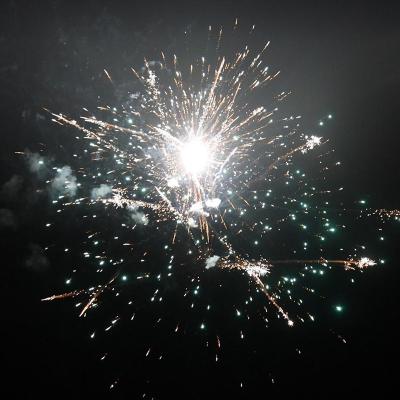 China 56 Shots Consumenten Taart Vuurwerk 2024 1,4 g UN0336 Voor feest Te koop