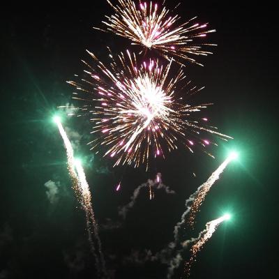 China China 204 schoten op maat Nieuwjaar Pyrotechnische taart Consument Vuurwerk voor de viering Te koop