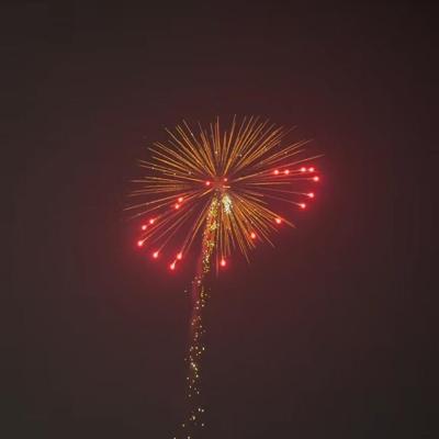 Cina Mandarino Professional 1.3g pirotecnia fuochi d'artificio saluto conchiglie cannisteria 4 pollici schermo proiettili fuochi d'artificio in vendita