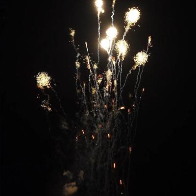 중국 중국인 1.4 프로 라인 불꽃놀이 만다린 210 샷 1000g 케이크 미국 시장의 피로테크닉 판매용