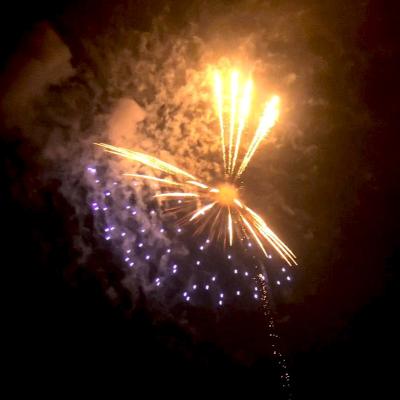 China Fuochi d'artificio a forma di palla per celebrazioni, conchiglie professionali da spettacolo 1.3G all'ingrosso dalla Cina for sale