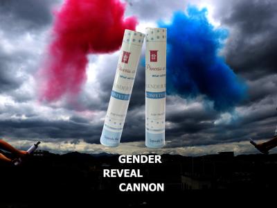 China Gender Reveal Party Pink Blue Color Blower Holi Powder Confetti Cannon for sale