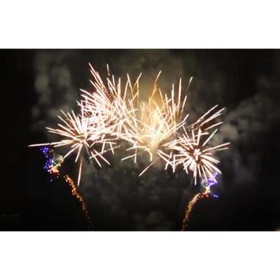 中国 瀏陽市の屋外の150の打撃の消費者ケーキの花火 販売のため
