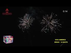 /Event 결혼식을 위한 수출 소비자 케이크 불꽃놀이 13 탄 350G