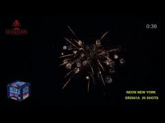 Openlucht Gemengd 25 Schoten 500 Vuurwerk van Gramcakes voor Vieringsvergaderingen