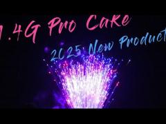 100 Shots Nieuwe 1.4 Pro Line Vuurwerk 1000G Outdoor Gelegenheid Big Cake Vuurwerk Groothandel Fabriek