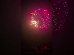 Factory Liuyang Mandarin Pyrotechnics Display Shells Fireworks 6 Inch Professional Shell Fireworks