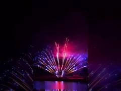 Chinese Factory Pyrotechnics Wholesale Professional Display Fireworks 1.3g Cake Fireworks 2024
