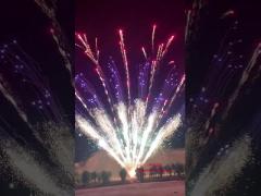 Liuyang Fireworks Pyrotechnics Professional Display Fireworks 1.3g Cake Fireworks