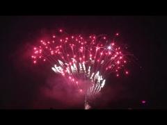 208 Shots Professional Cake Fireworks Outdoor For Christmas Festival Celebration