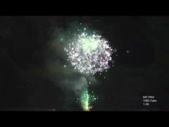 AFSL Customizable 100 Shots Professional Cake Fireworks For Festival Celebration