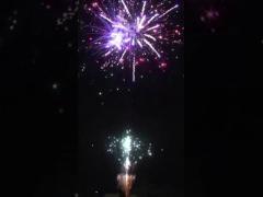 Mandarin Professional 100 Shots Salute Pyrotechnics