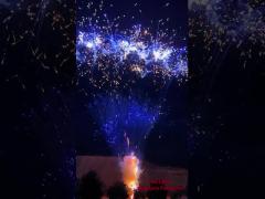 Mandarin Customized Cake Shots Pyrotechnics Consumer Cake Fireworks Chinese Salute