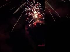 Chinese 100 Shots Wedding Party Cake Fireworks Pyrotechnics for Festival Celebration