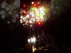 Liuyang Pyrotechnics 80 Shots 1.4G Cake Fireworks Special Effects Professional