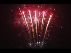98 Shots New Year Petard Pyrotechnic Consumer Cake Fireworks Customized