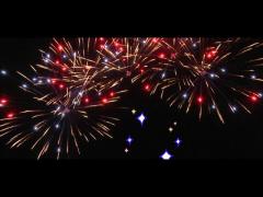 Chinese 25 Shots Fan Cake Fireworks For Celebration Custom Outdoor Fireworks