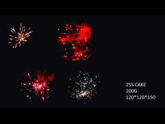 2021 New High Quality Chinese 16 Shots 200g Consumer Cake Fireworks For Celebration Party