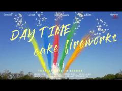 Custom Mandarin Pyrotechnics Daytime Salute Cake Fireworks 49 Shots