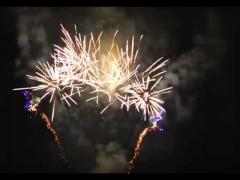 Liuyang Outdoor 150 Shots Consumer Cake Fireworks