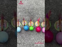 De Chinese Zwaan die van het Vuurwerkliuyang van Fabrieksjonge geitjes de Nieuwigheid Grappig Toy Fireworks For Christmas leggen van het Eierenvuurwerk