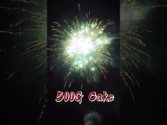 High Quality Export Cake Fireworks Pyrotechnics 500G 20 Shots Good Effects Outdoor Fireworks Cake