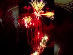 Customized 178 Shots Pyrotechnics 1.4G Cake Fireworks for Year Celebration 2025 in Liuyang Mandarin