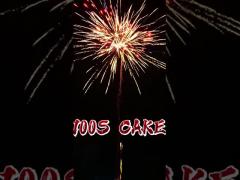 Liuyang Pyrotechnics 100 Shots Consumer Wholesale Cake Fireworks 2025 New Fireworks In Amazing Effect Fireworks Cake