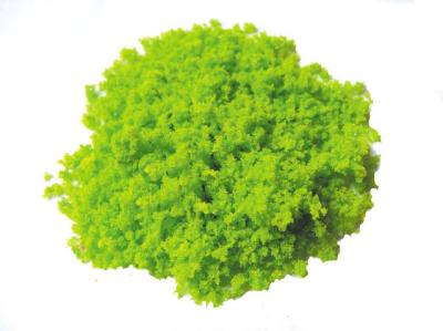 China Tree powder for model tree are tree sponge ,tree foliage spongeT-1002 for sale