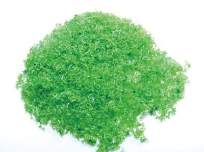China Tree powder for model tree are tree sponge ,tree foliage spongeT-2003 for sale