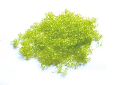 China Tree powder for model tree are tree sponge ,tree foliage spongeT-2005 for sale