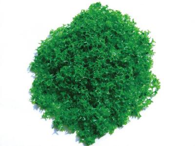 China Tree powder for model tree are tree sponge ,tree foliage spongeT-2007 for sale
