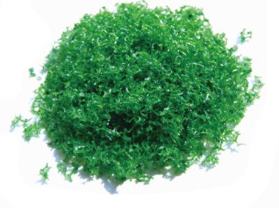 China Tree powder for model tree are tree sponge ,tree foliage spongeT-2008 for sale