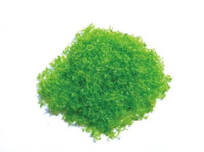 China Tree powder for model tree are tree sponge ,tree foliage spongeT-2011 for sale