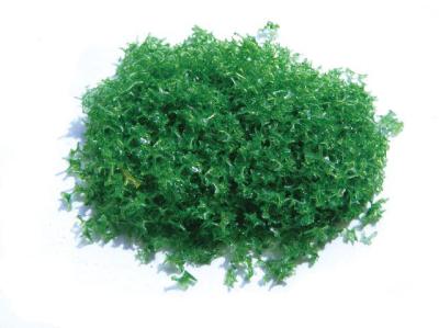 China Tree powder for model tree are tree sponge ,tree foliage spongeT-2012 for sale