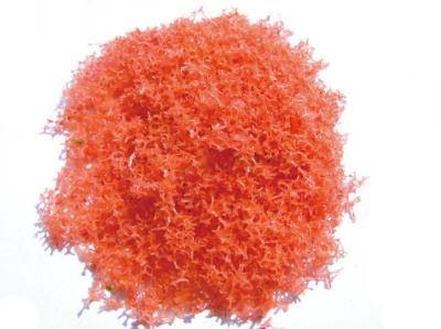 China Tree powder for model tree are tree sponge ,tree foliage spongeT-2013 for sale