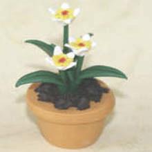 China Model Ceramic pot Flower CF62 for sale