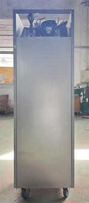 China Commercial High Quality Single-Temperature Upright Freezer Refrigerator for Restaurant Fan Cooling Mode for Cold Storage for sale