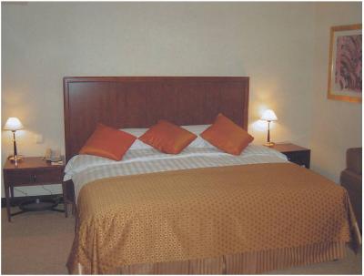 China Modern Hotel Furniture,Double Standard Room Set,BO-B019 for sale