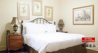 China Villa interior Custom furniture Wrought Iron Single size Bed with Drawer of Chest Mirror for sale