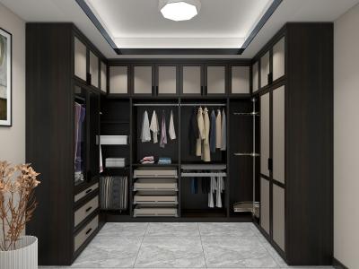 China U Wardrobe Closets Modern Cabinets In Wall Mounted Cabinet Tall Showcase With Cloth Hang Racks And Storage Drawers for sale