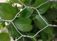 China Gabion Retaining Wall for sale