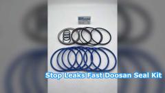 Doosan Swing Motor Seal Kit 2401 6250K Repair Solution