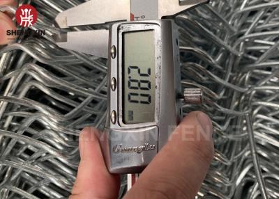 Cina il collegamento a catena Mesh Fence Galvanized/PVC di 5ft 3m ha ricoperto in vendita