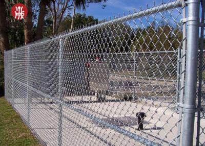 Cina Rete metallica 50ft 100ft di recinzione del collegamento a catena rivestita del PVC galvanizzato del muro di cinta in vendita