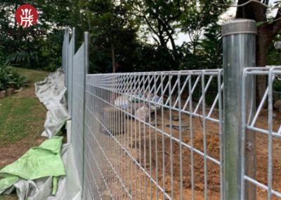 Cina 2.4M Height BRC Mesh Fence Easily Assembled Metal hanno saldato in vendita