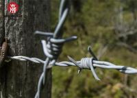 China Cross Razor 8m Galvanized Razor Barbed Wire Protective Construction for sale